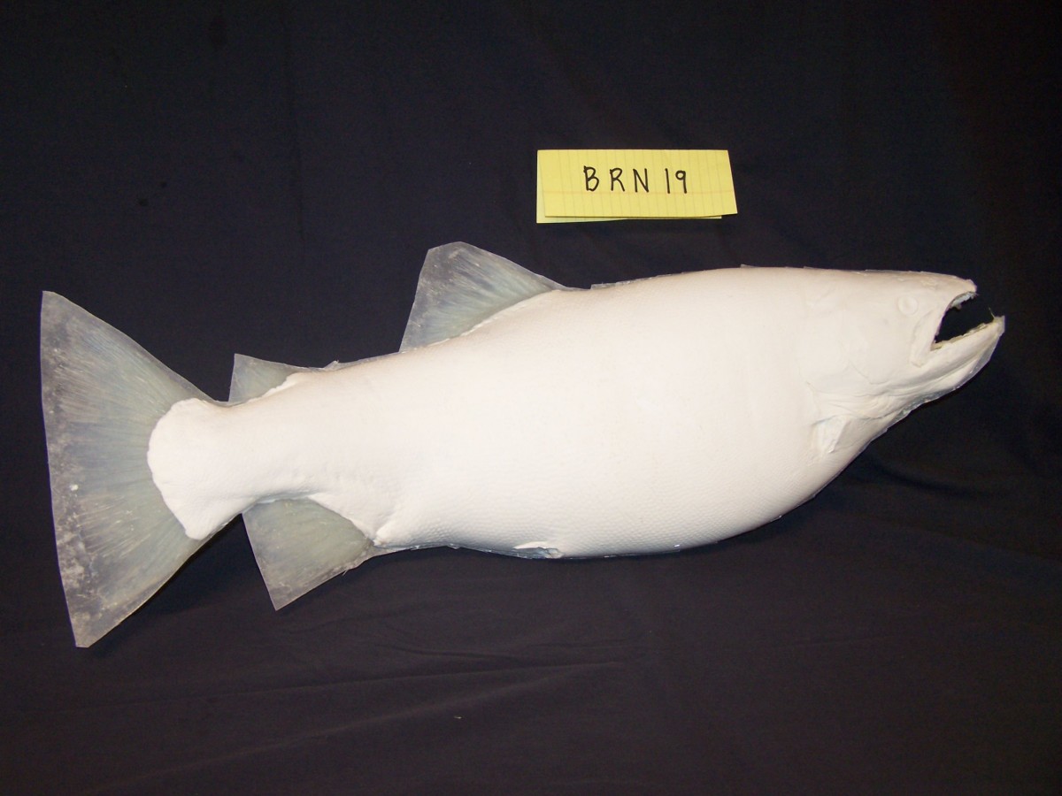 Pricelist | Bevs Fish Creations